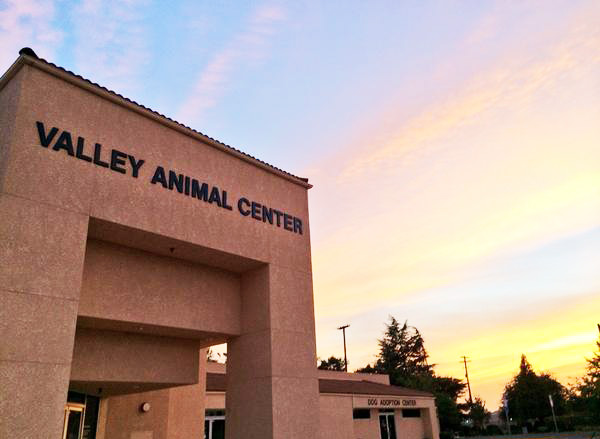 Valley Animal Center — YllW